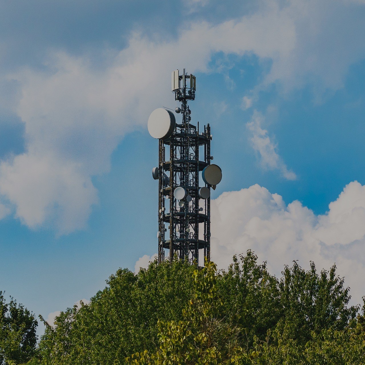 Home | Ashutosh Bains